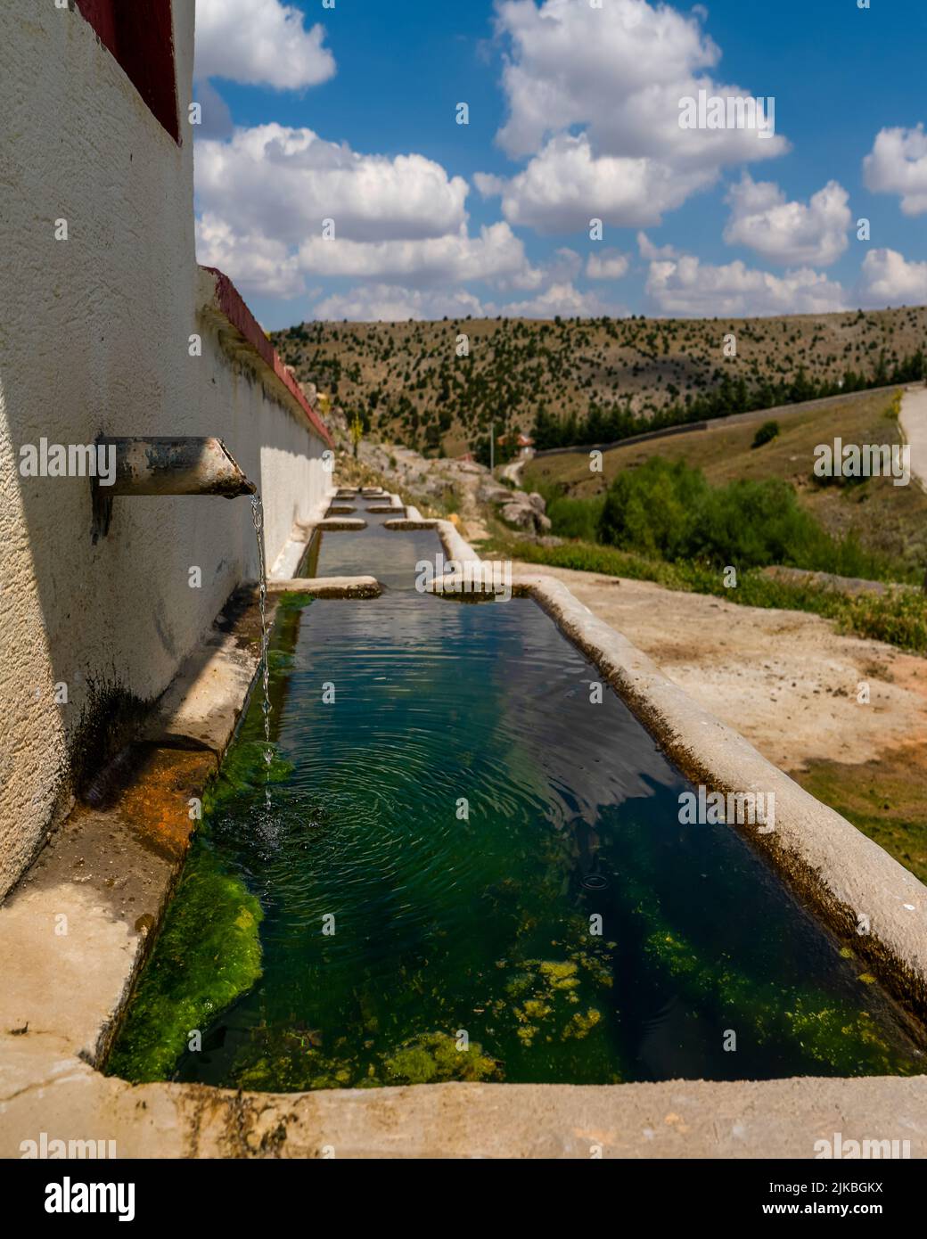 Water flows from the spring to the concrete animal troughs lined up one ...