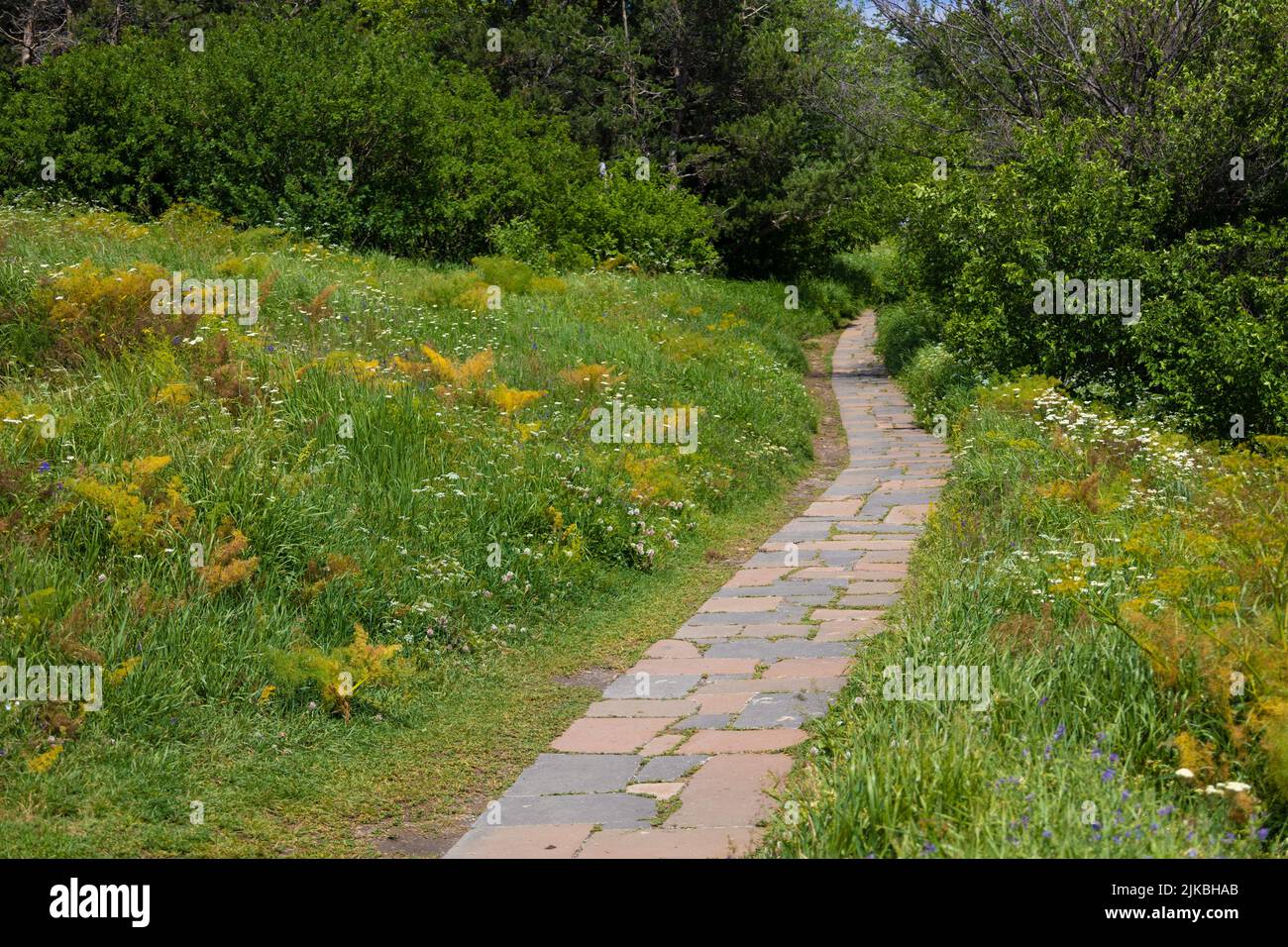 Sunlight on a rocky path hi-res stock photography and images - Alamy
