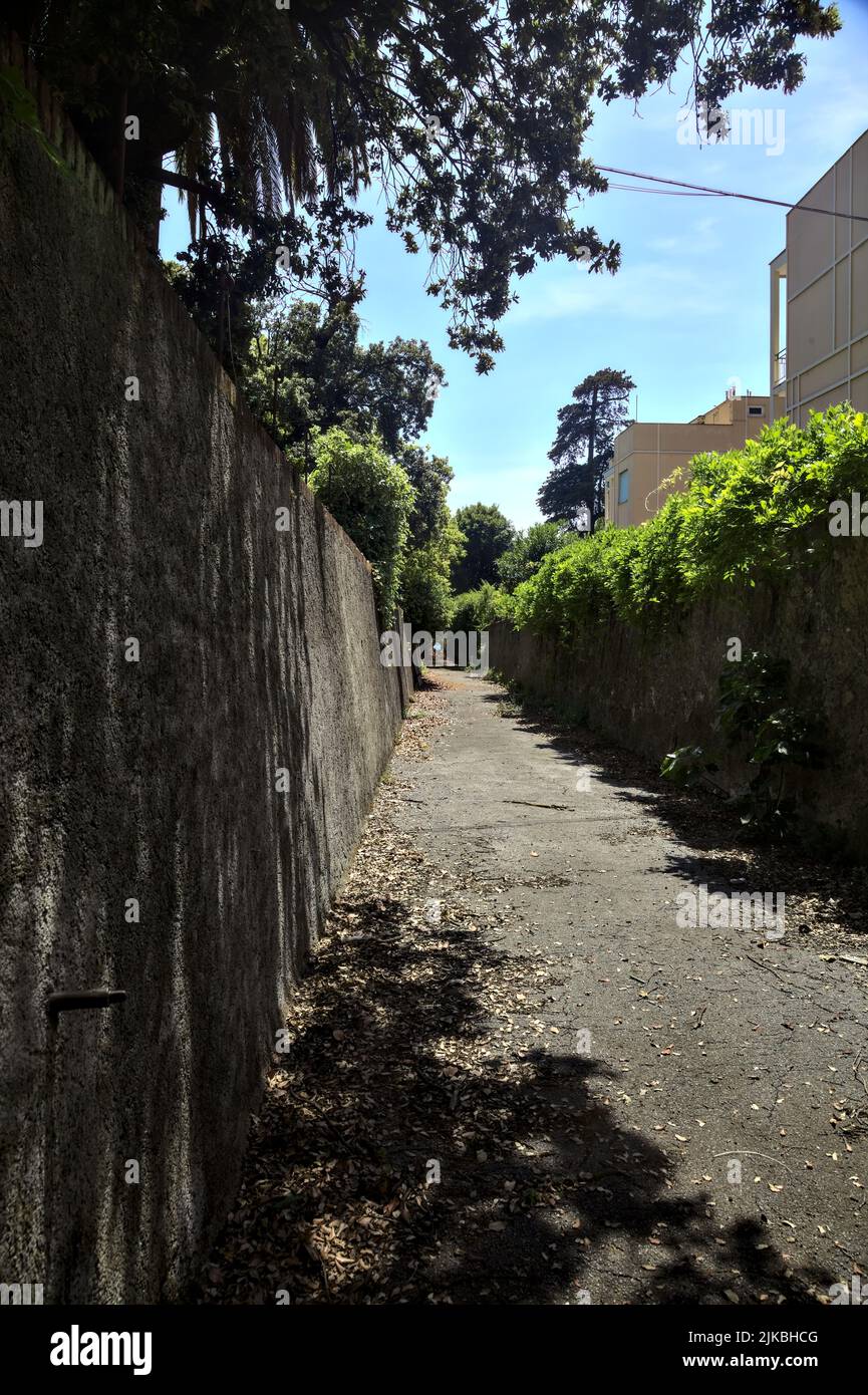 Cobbled alley between stone walls covered by ivy Stock Photo - Alamy