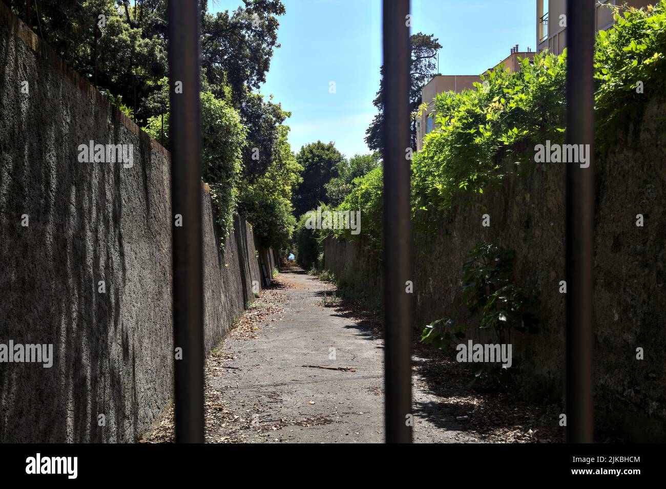Cobbled alley between stone walls covered by ivy Stock Photo - Alamy