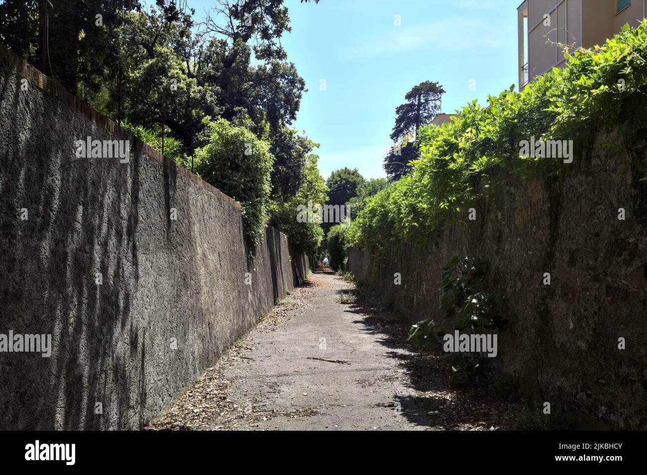 Cobbled alley between stone walls covered by ivy Stock Photo - Alamy