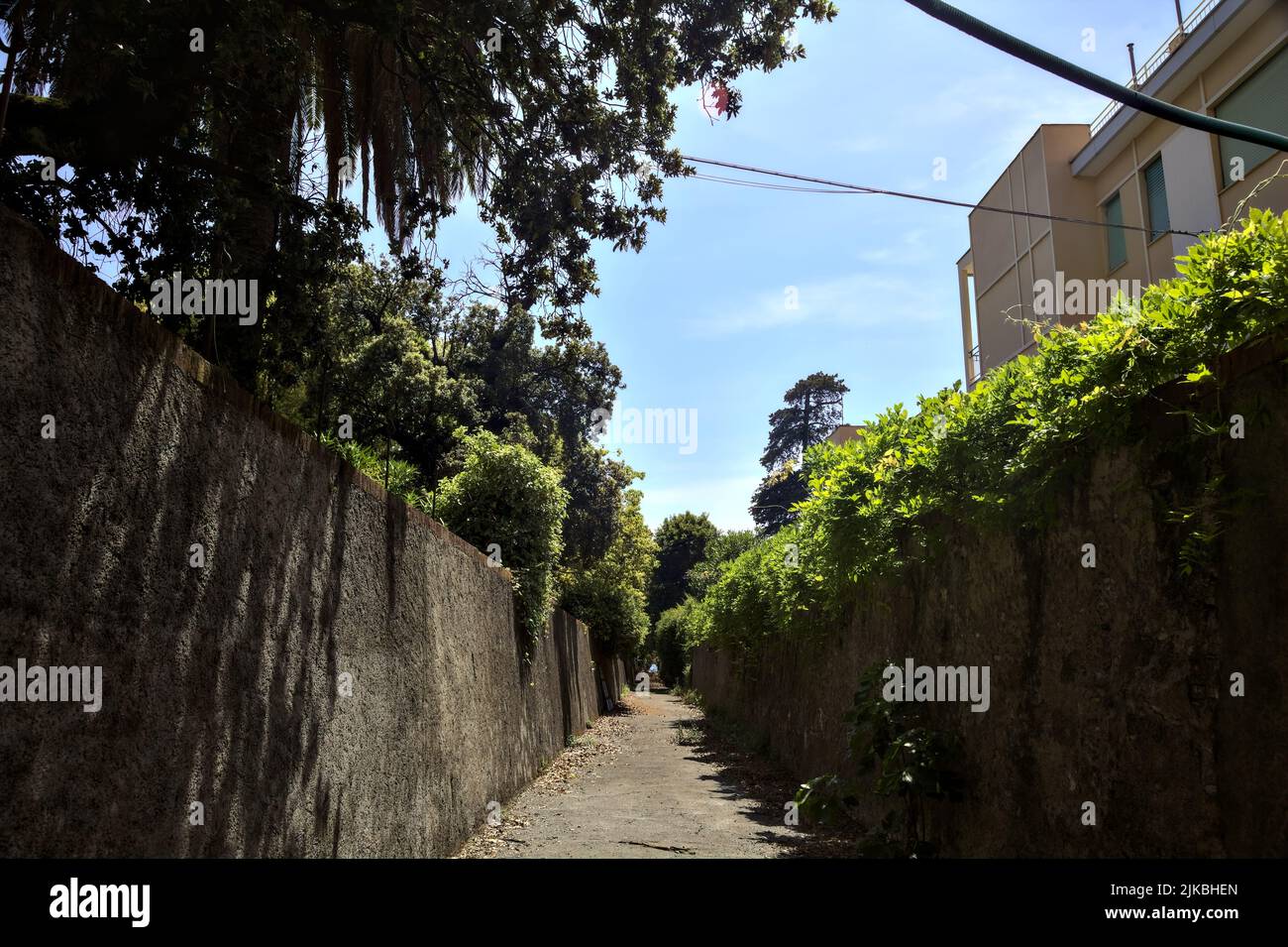Cobbled alley between stone walls covered by ivy Stock Photo - Alamy