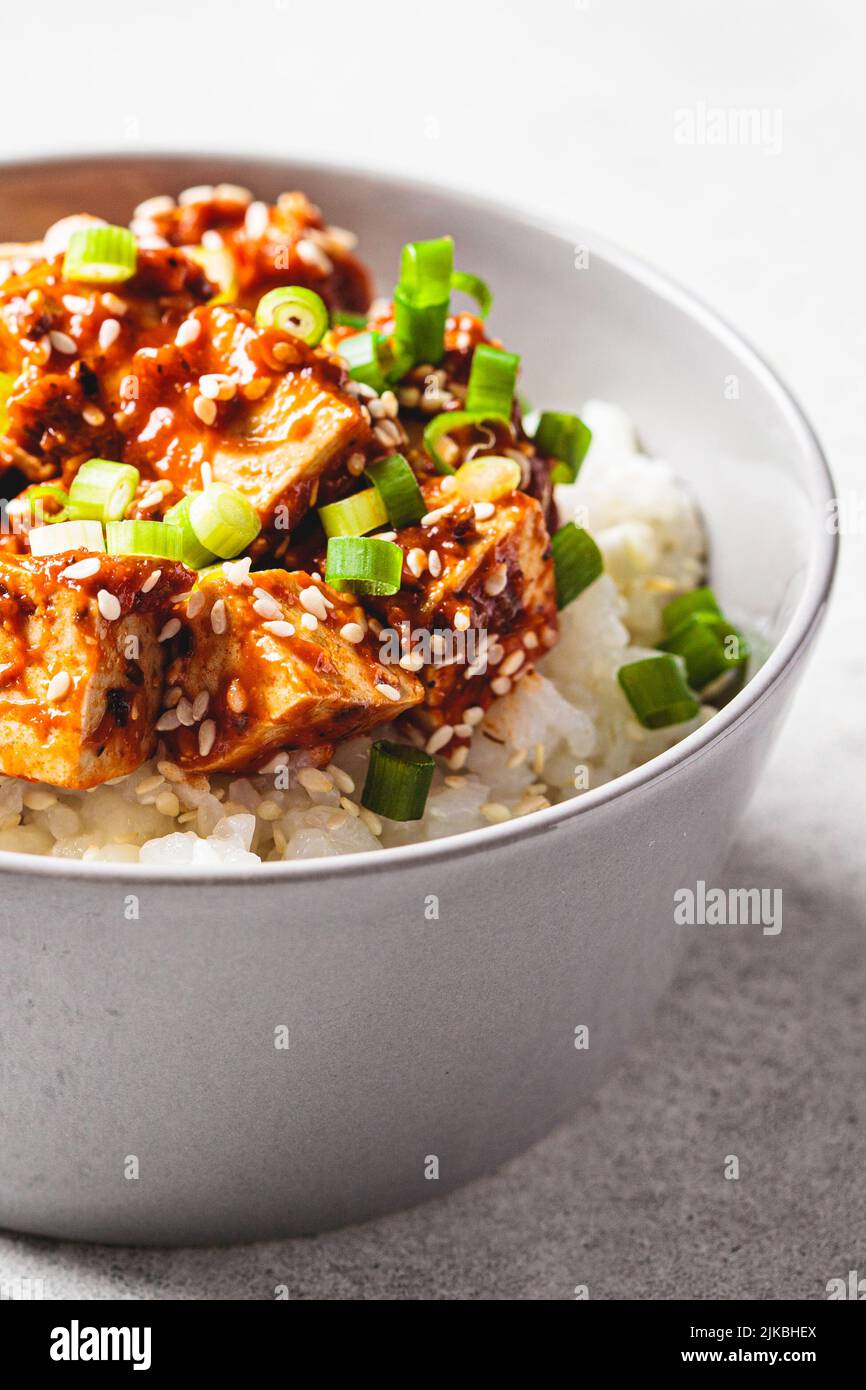 Korean tofu dubu-jorim - braised spicy bean curd with rice in a gray ...