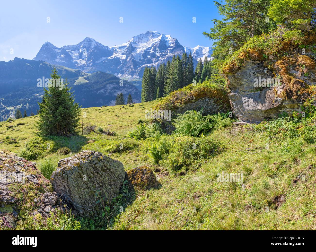 The Bernese alps with the Jungfrau, Monch and Eiger peaks over the alps ...