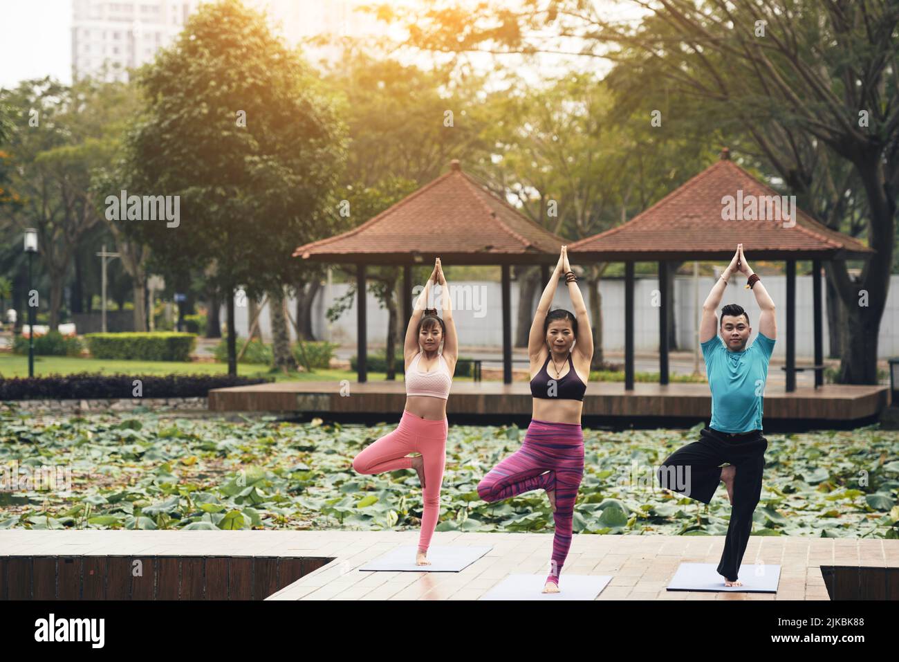 Group practicing tree pose in hi-res stock photography and images - Alamy