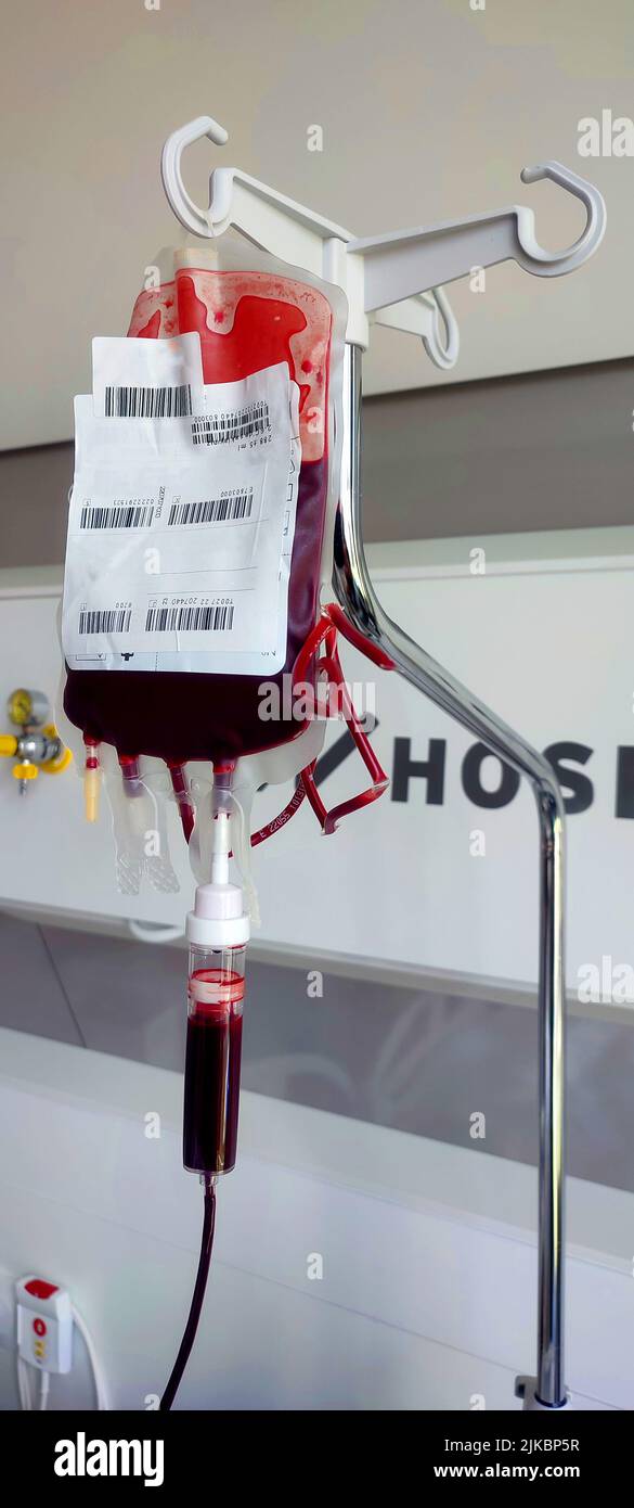 Blood Transfusion Hospital Patient Health Blood Bank Surgery Blood ...