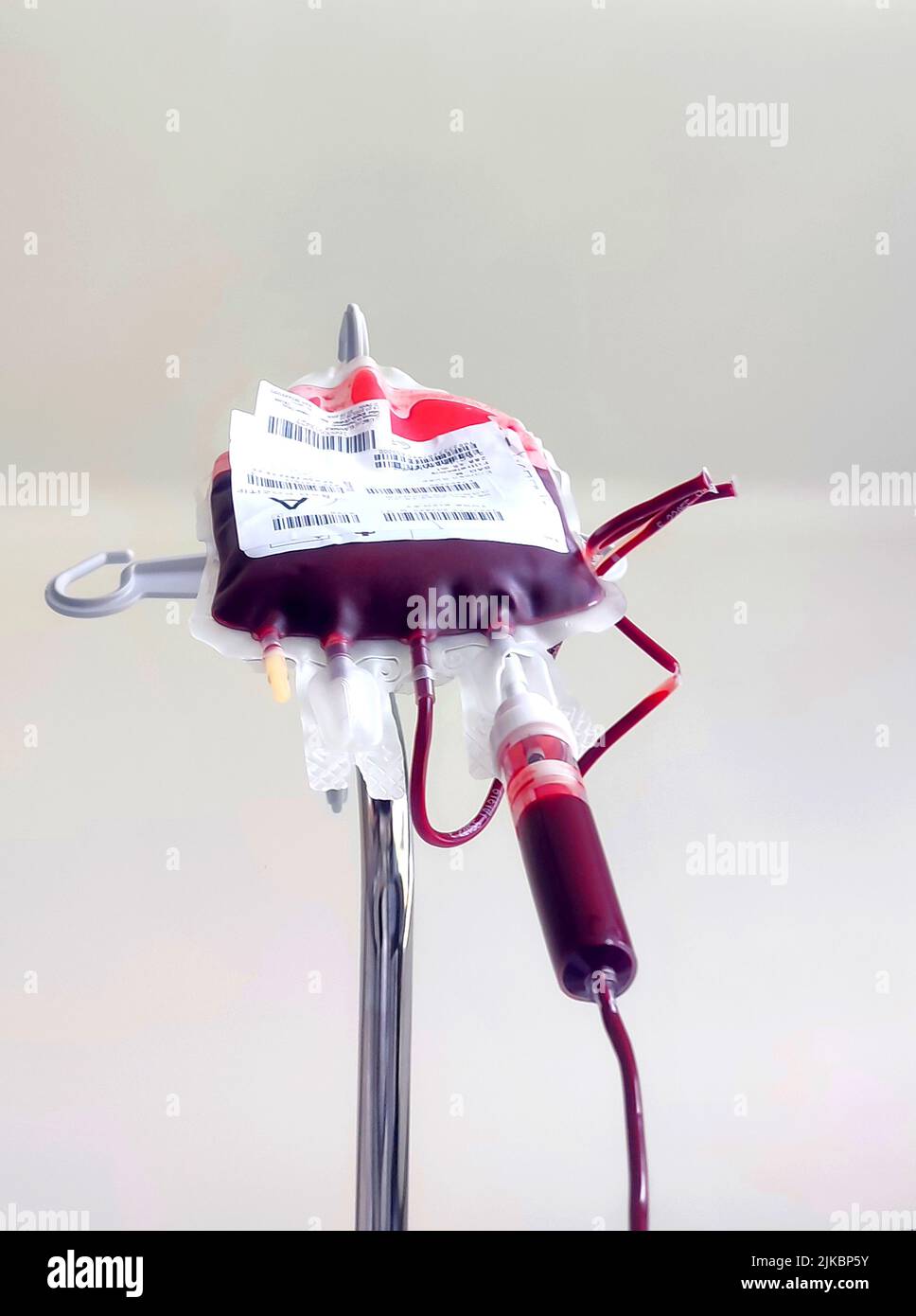 Blood Transfusion Hospital Patient Health Blood Bank Surgery Blood ...