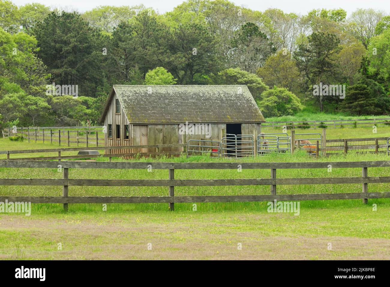 A weathered building on an alpaca farm in oak bluffs massachusetts on ...