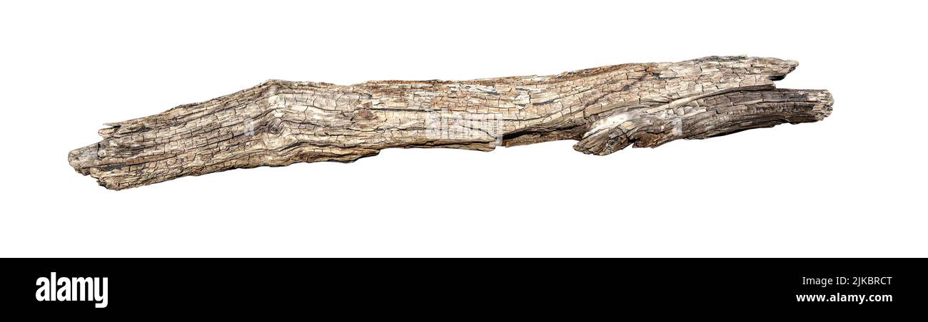 Dry tree twig branch isolated on white background. pieces of broken ...