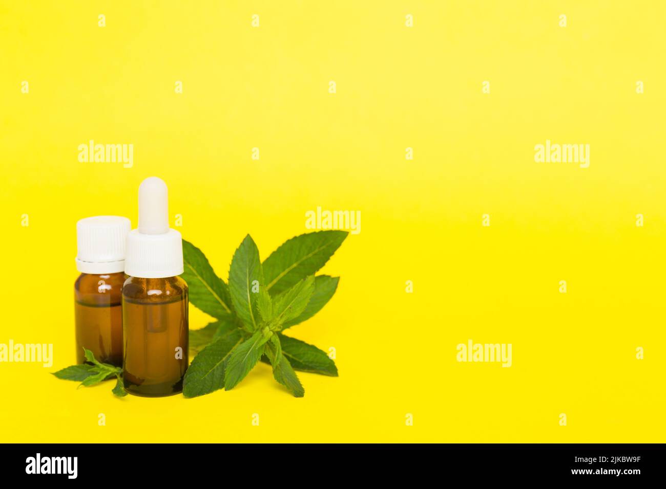 Natural Mint Essential Oil in a Glass Bottle. organic cosmetics with ...