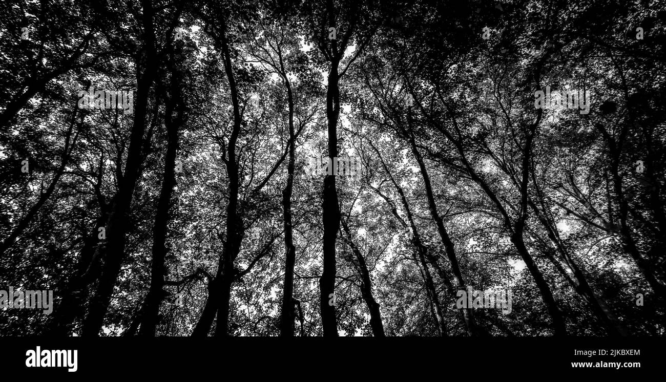 Repetitive shapes hi-res stock photography and images - Alamy