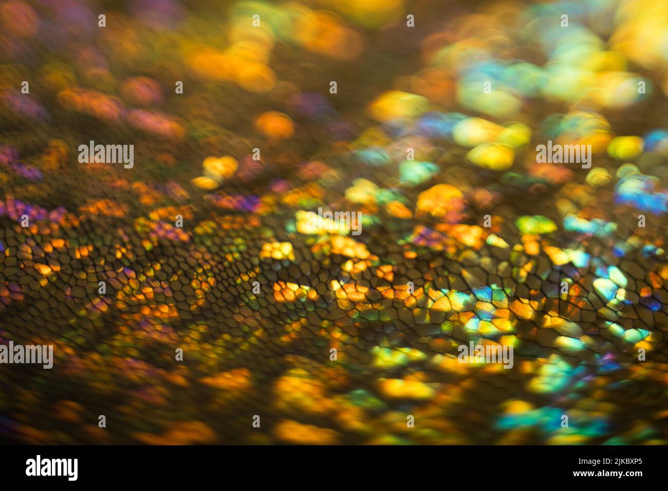 snake skin texture blur bokeh abstract background Stock Photo - Alamy