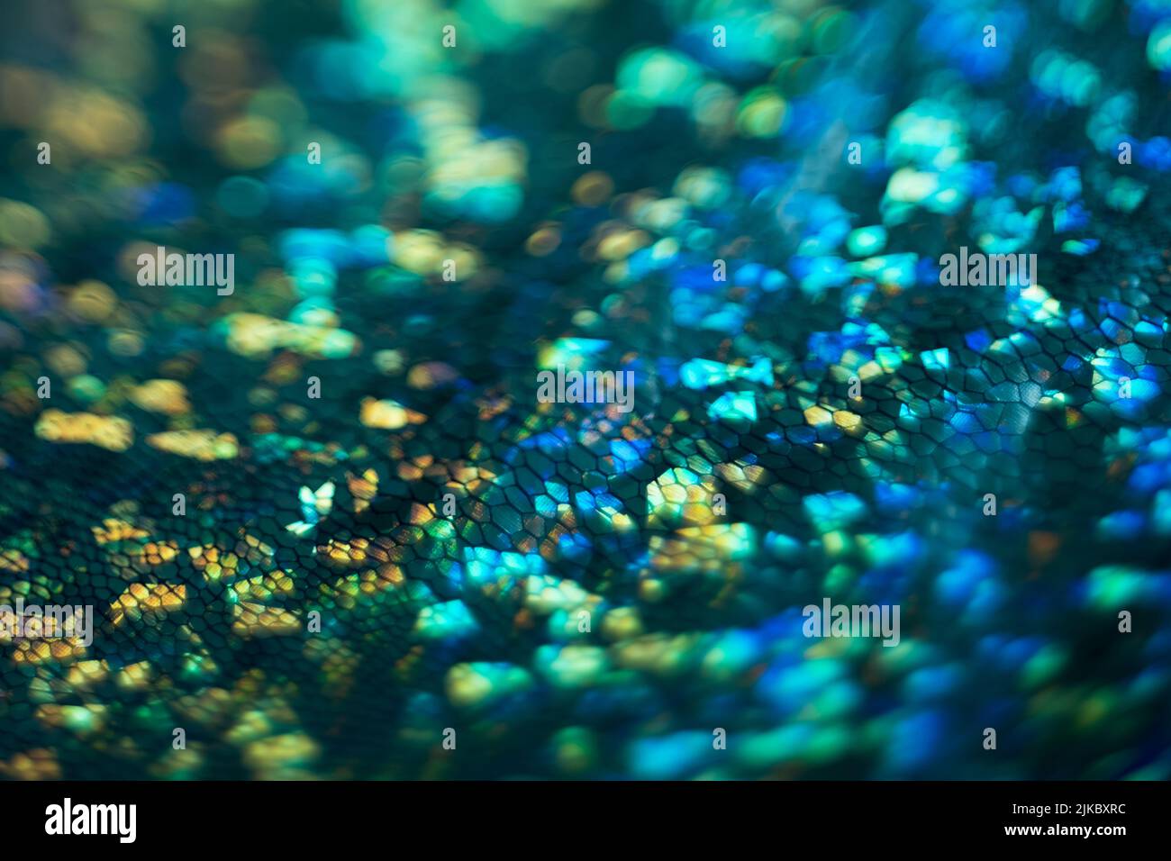 Blue snake skin hi-res stock photography and images - Alamy