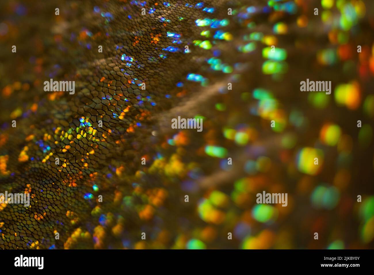 snake skin texture blur bokeh abstract background Stock Photo - Alamy