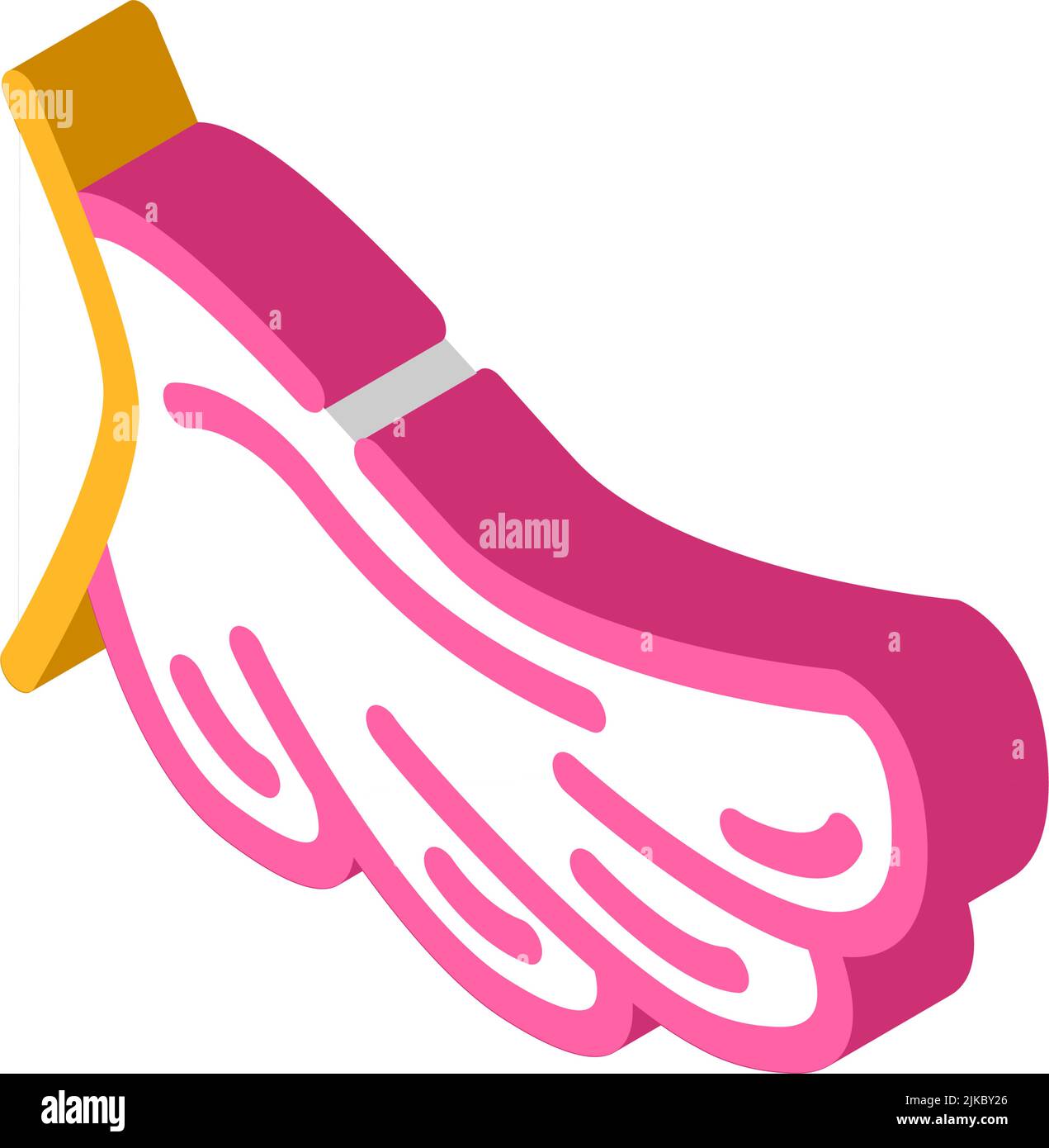 cupeydon wing isometric icon vector illustration Stock Vector Image ...