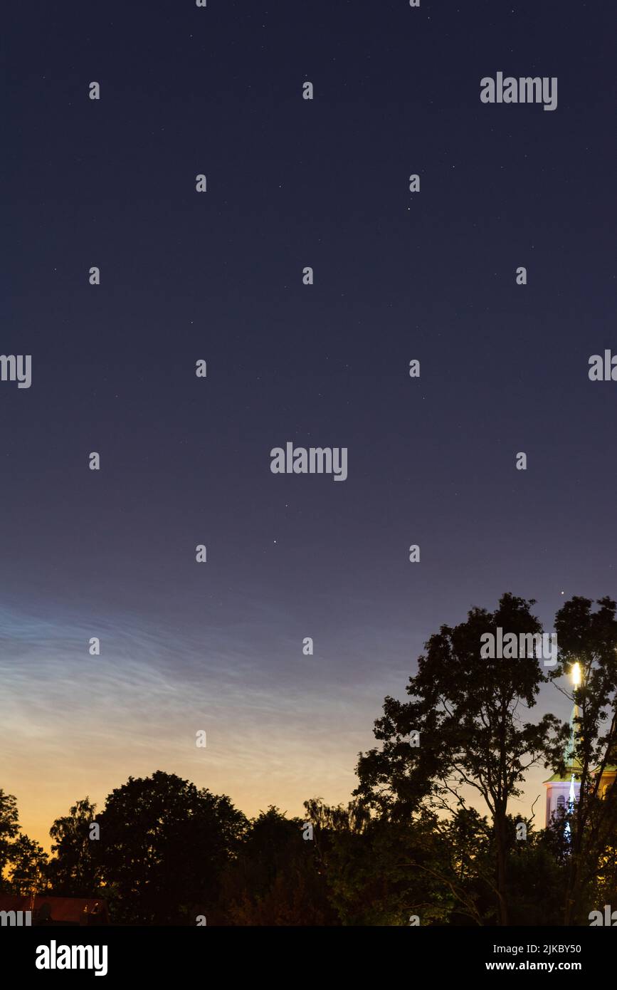 A vertical shot of the magical blue sky above the trees at night Stock ...