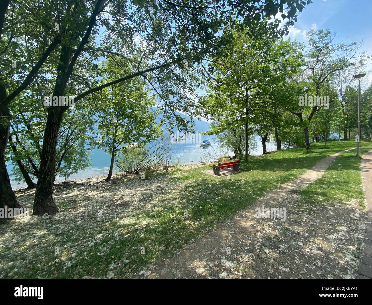 A natural landscape view of a beautiful park with a view to the lake ...