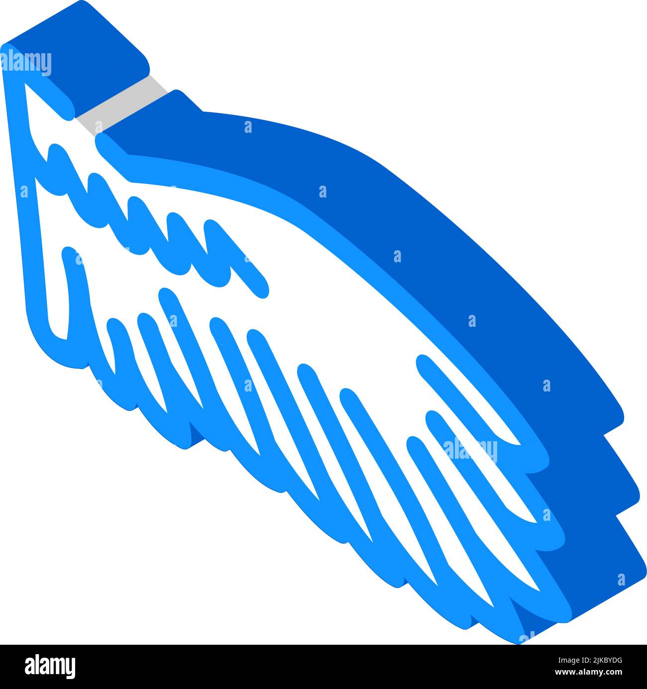 birds wing isometric icon vector illustration Stock Vector Image & Art ...