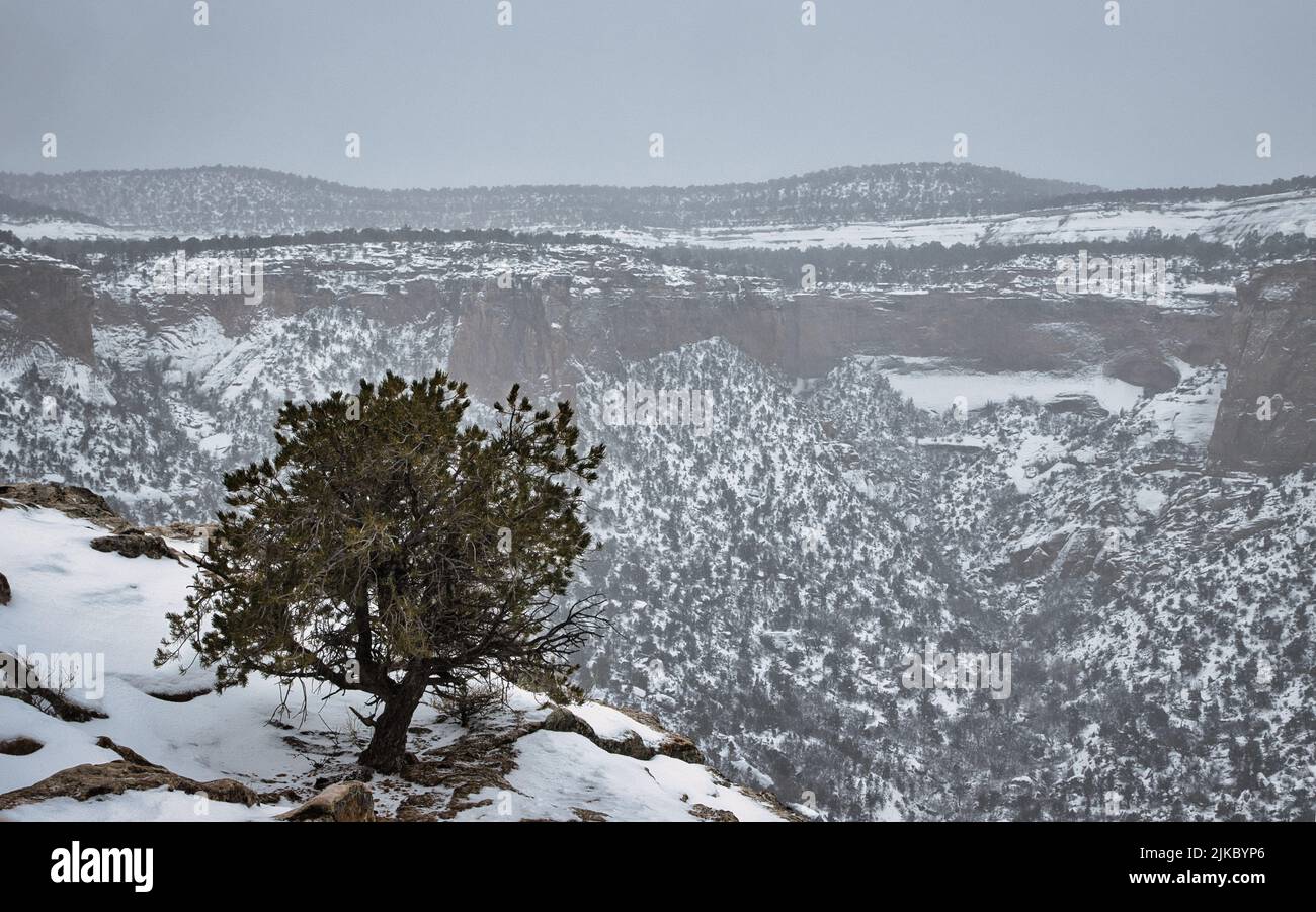 A chilling view of the Grand Canyon in Arizona, USA during winter Stock ...