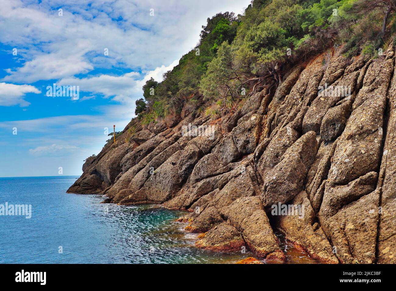A scenic view of a rocky cliff with trees and vegetation surrounded by ...