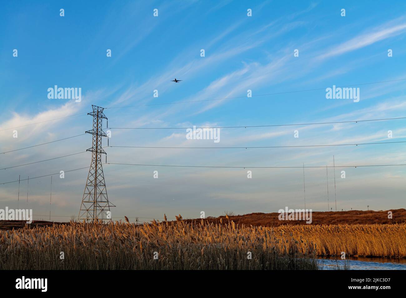 Low angle view of an airplane against the blue and cloudy sky, electric ...