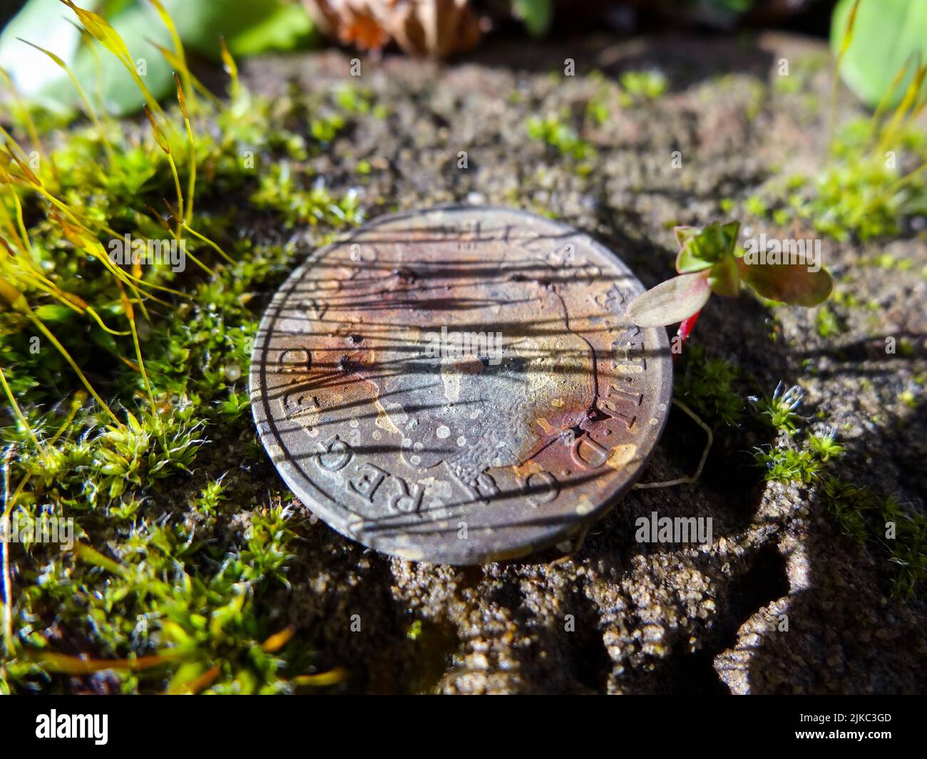 An old, rusty, silver coin on the stone with the shadow of plants Stock ...
