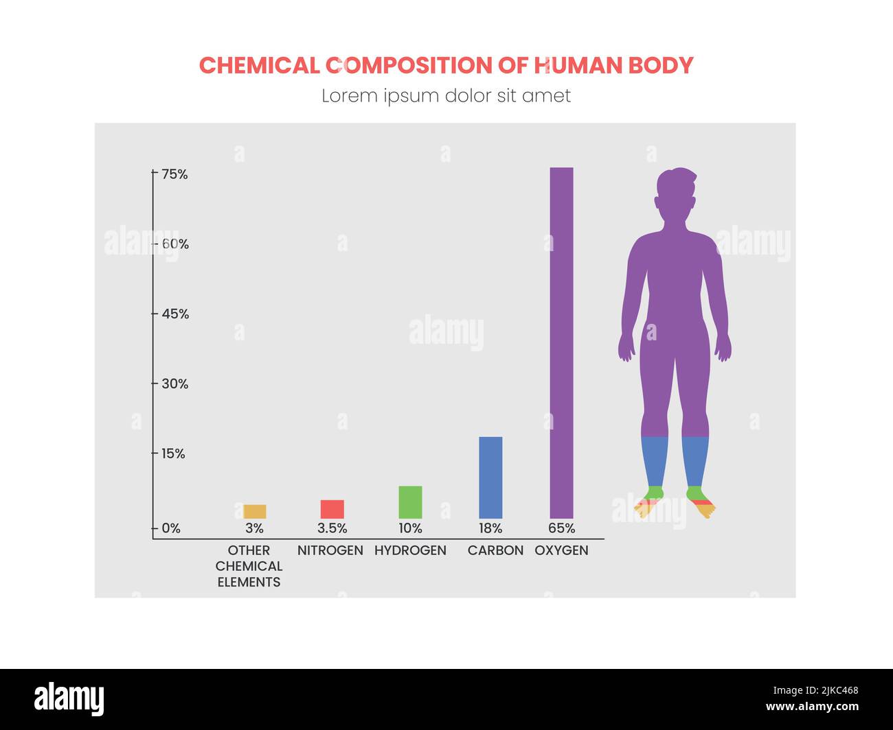 Chemical Composition Of Human Body Concept For Medical Infographic 