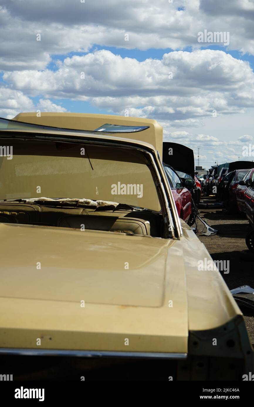 A Bunch of Shots from a Junkyard, Where Cars Have Been Taken for Parts ...