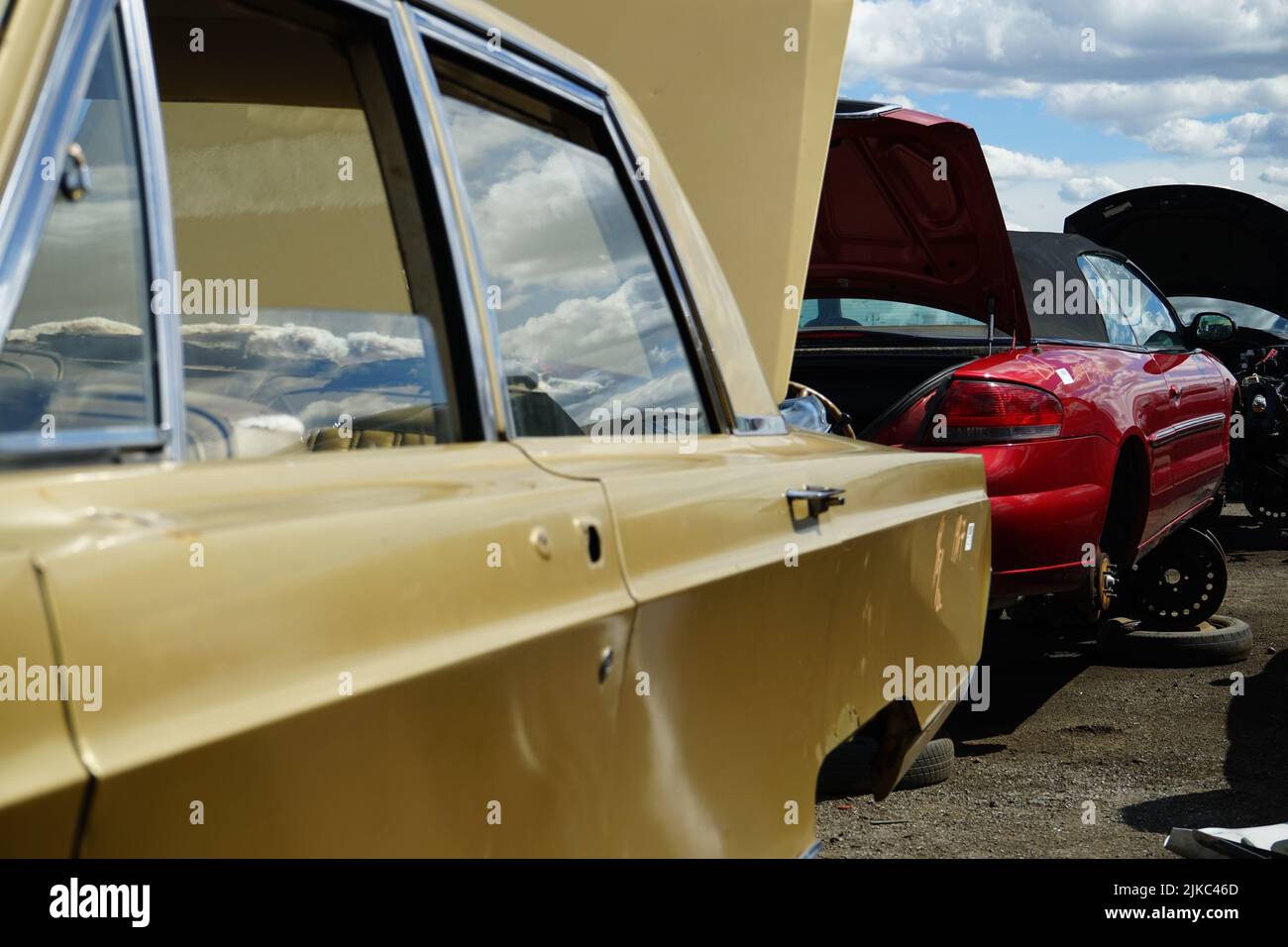 A Bunch of Shots from a Junkyard, Where Cars Have Been Taken for Parts ...