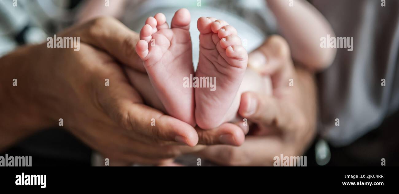 Close-up detail of parent holding cute and soft baby small leg in his ...