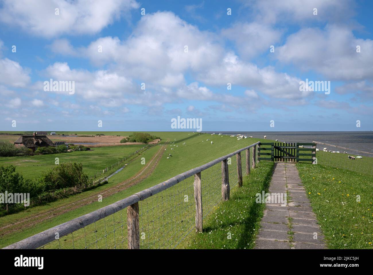 Panoramic image of the landscape along the dikes of Pellworm, North ...