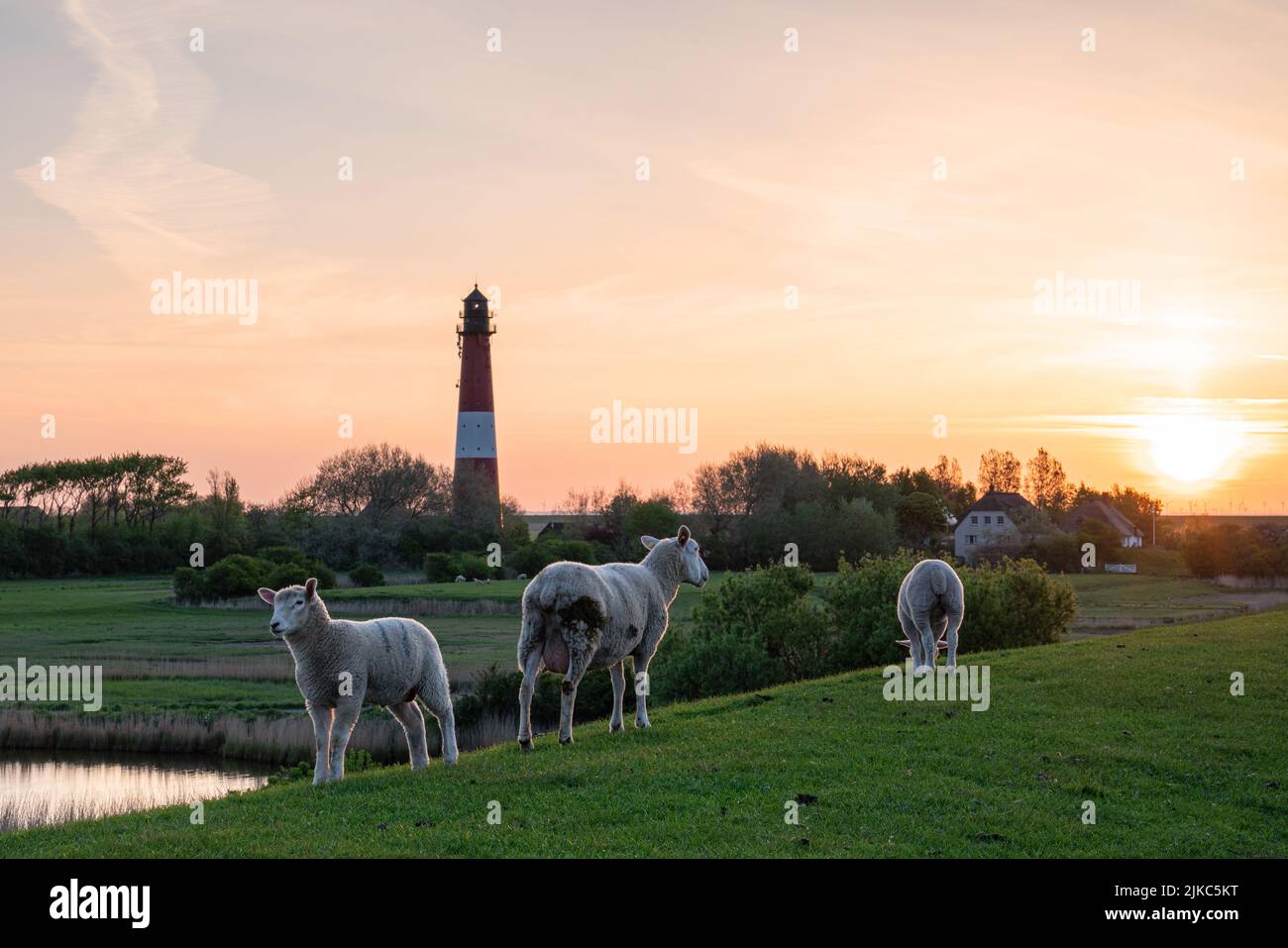 Pellworm lighthouse hi-res stock photography and images - Alamy