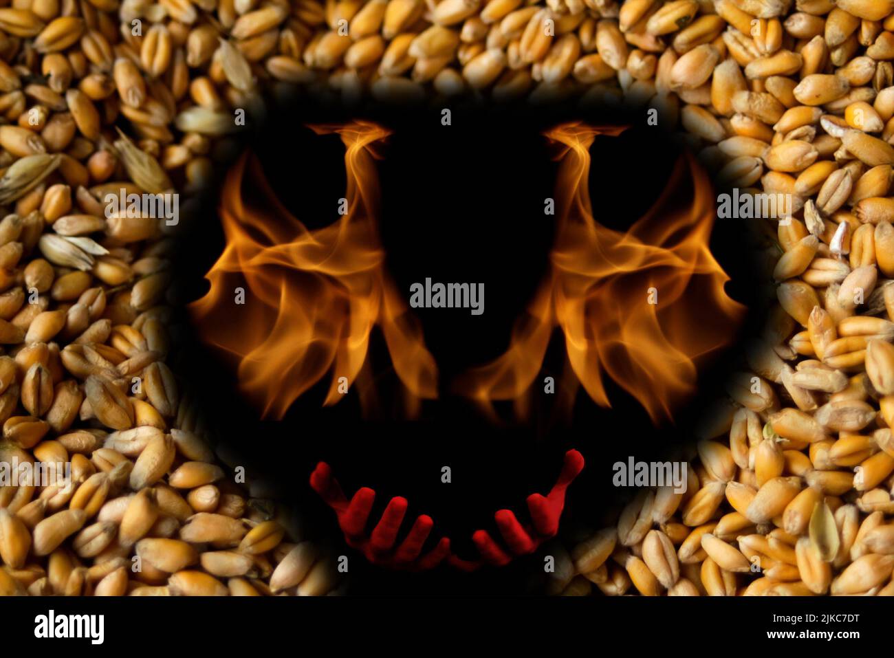 Food crisis. Global and European grain and wheat crisis, Ukraine ... Food crisis. Global and European grain and wheat crisis, Ukraine ...