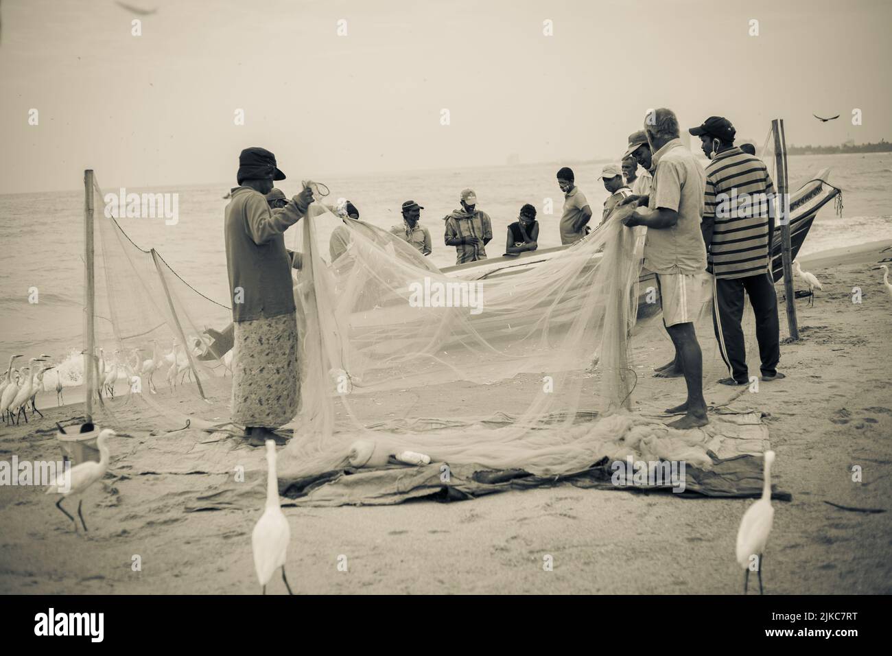 fish market | fisherman | fish | sri lanka | negombo | old | boat fish ...