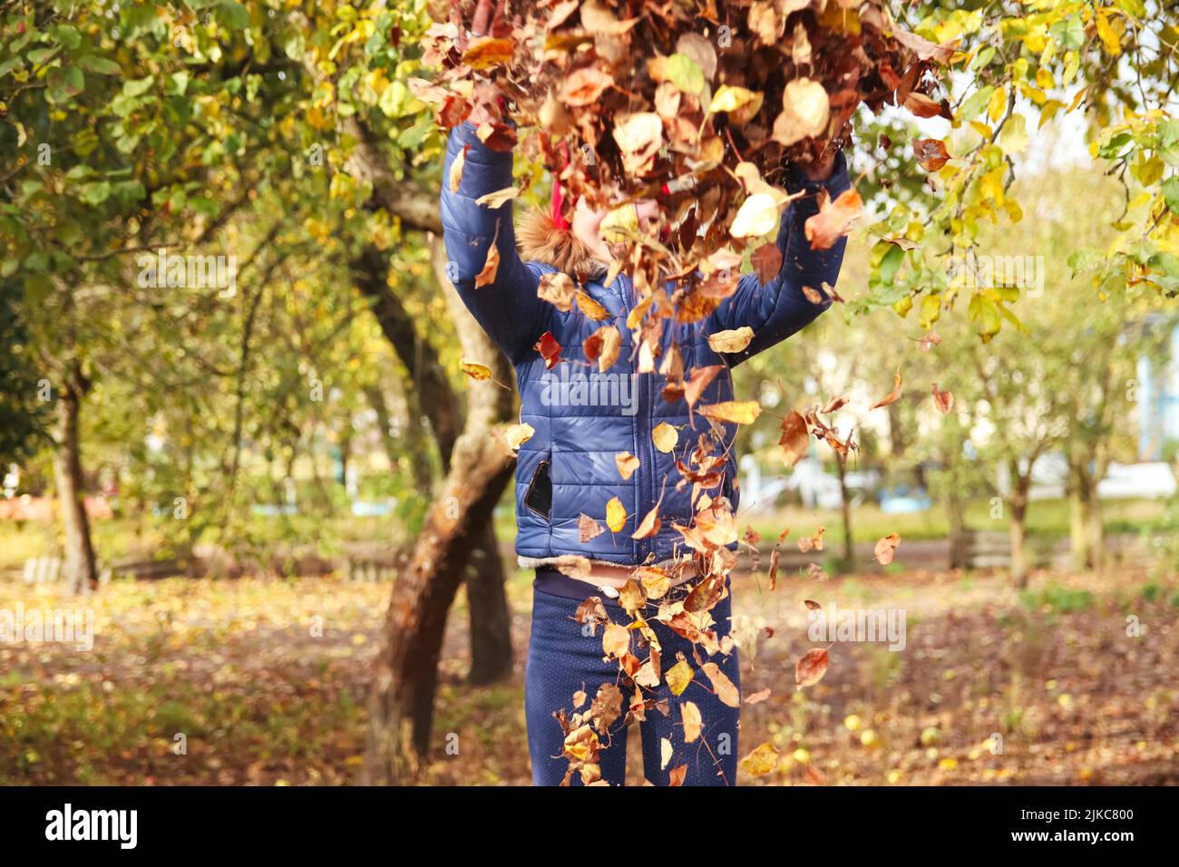 Defocus autumn people. Teen girl raising hand and throwing leaves. Many ...