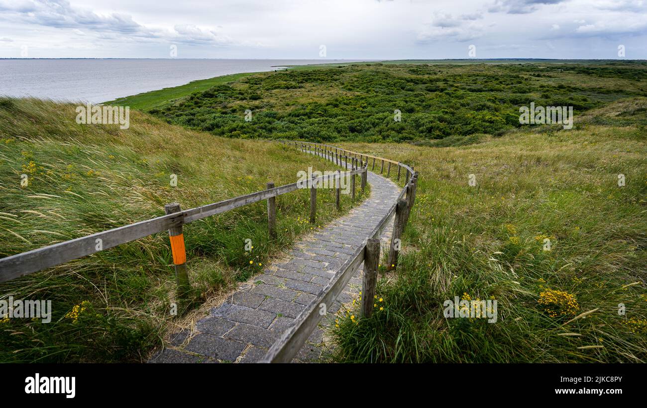 A stone narrow pathway between green grass meadow on hills Stock Photo ...