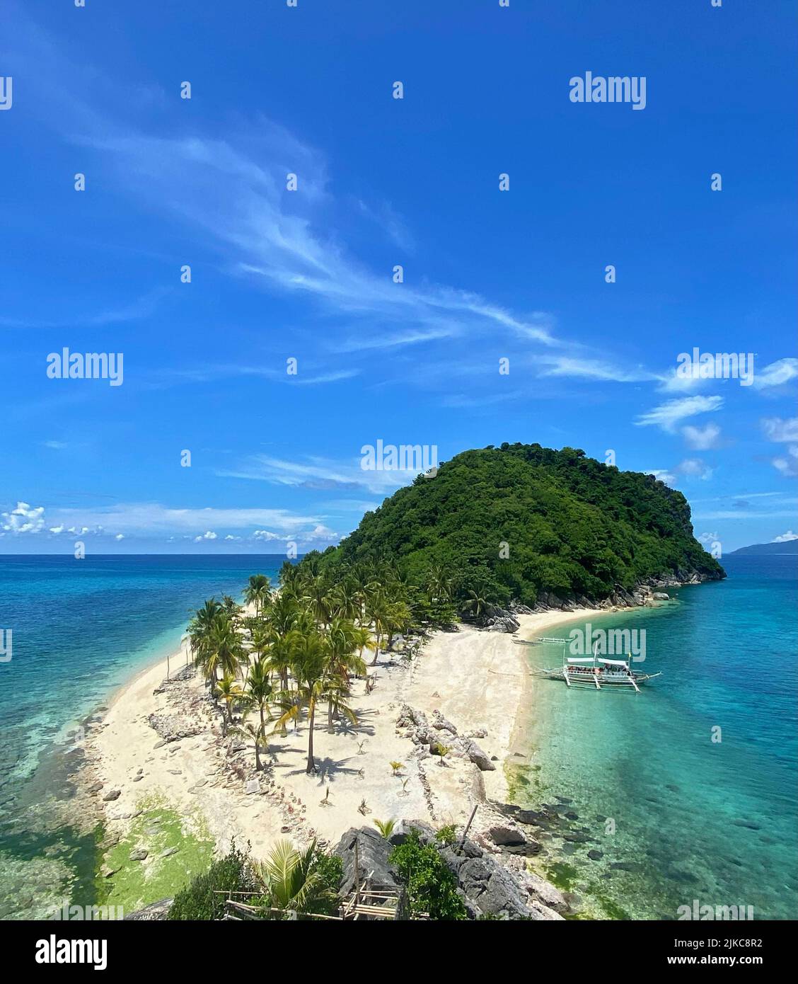 An aerial, vertical shot of a tropical island with dense forest and ...