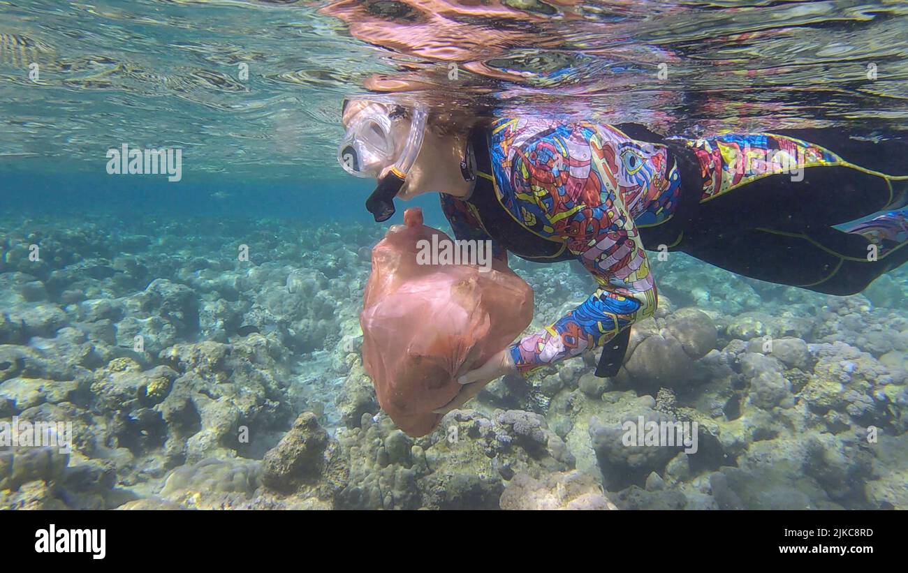 Woman in diving equipment swims and collects plastic debris underwater ...