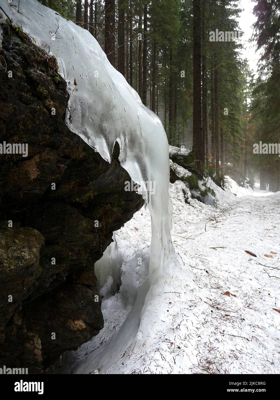 Wintertime in Bavarian forest Stock Photo - Alamy
