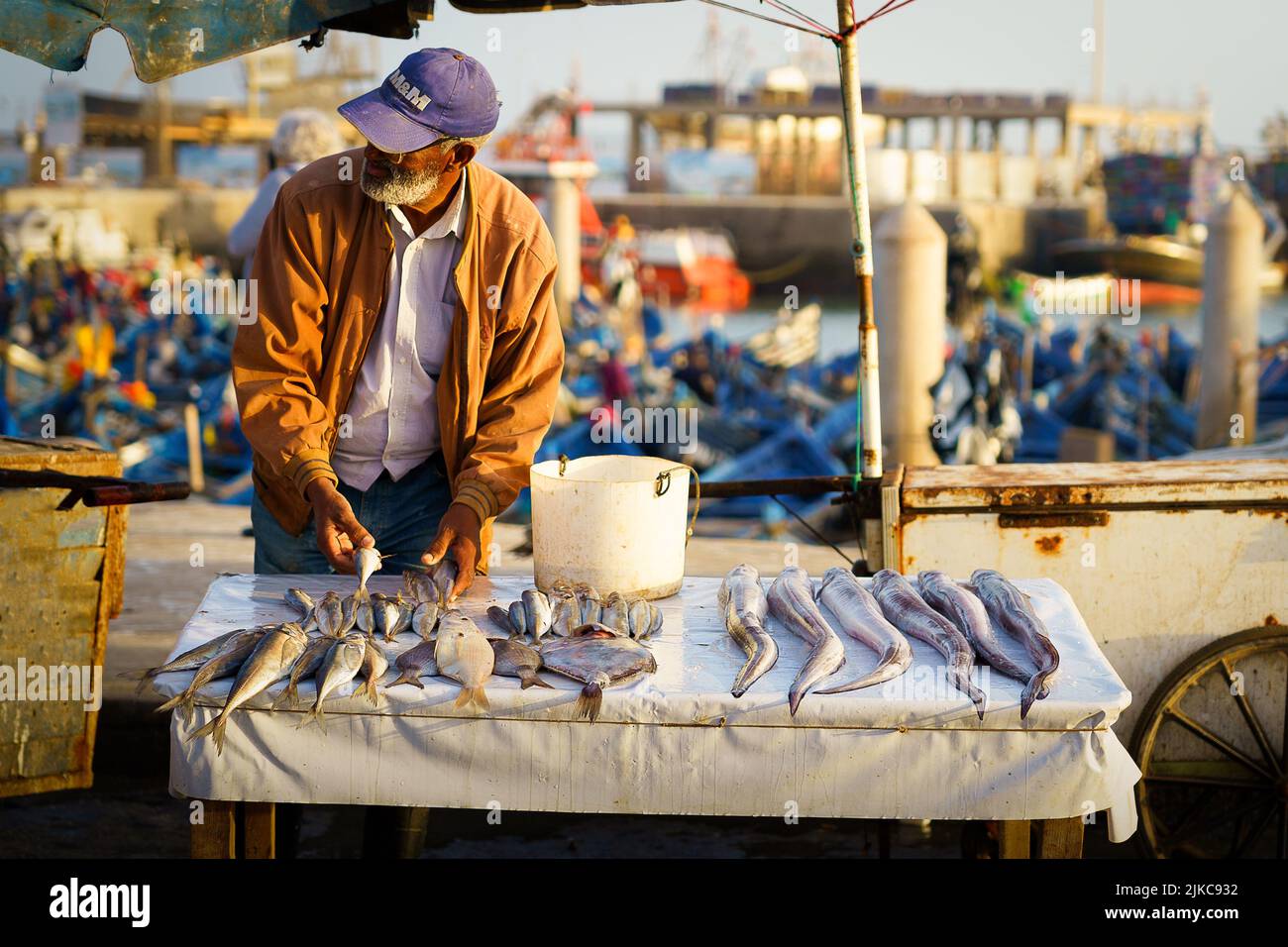 Morroco fish hi-res stock photography and images - Alamy