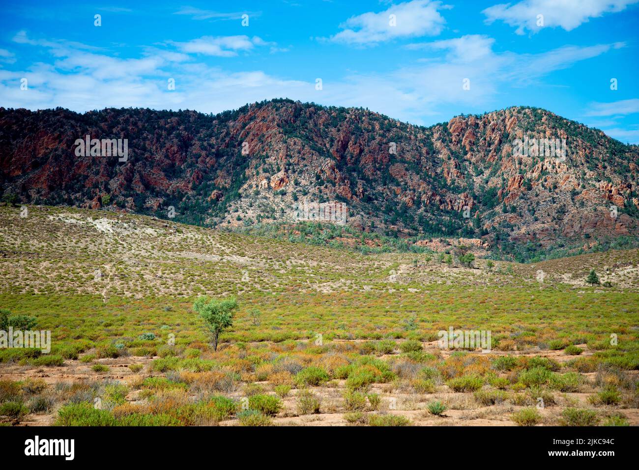 Pugilist Hill Lookout of Flinders Ranges - Australia Stock Photo - Alamy