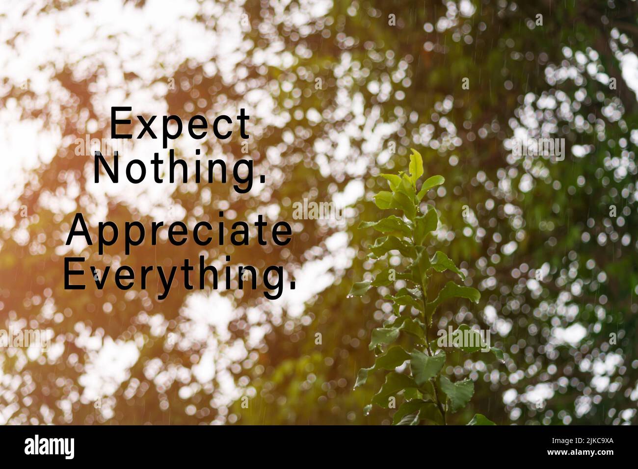 Much Appreciated Quotes