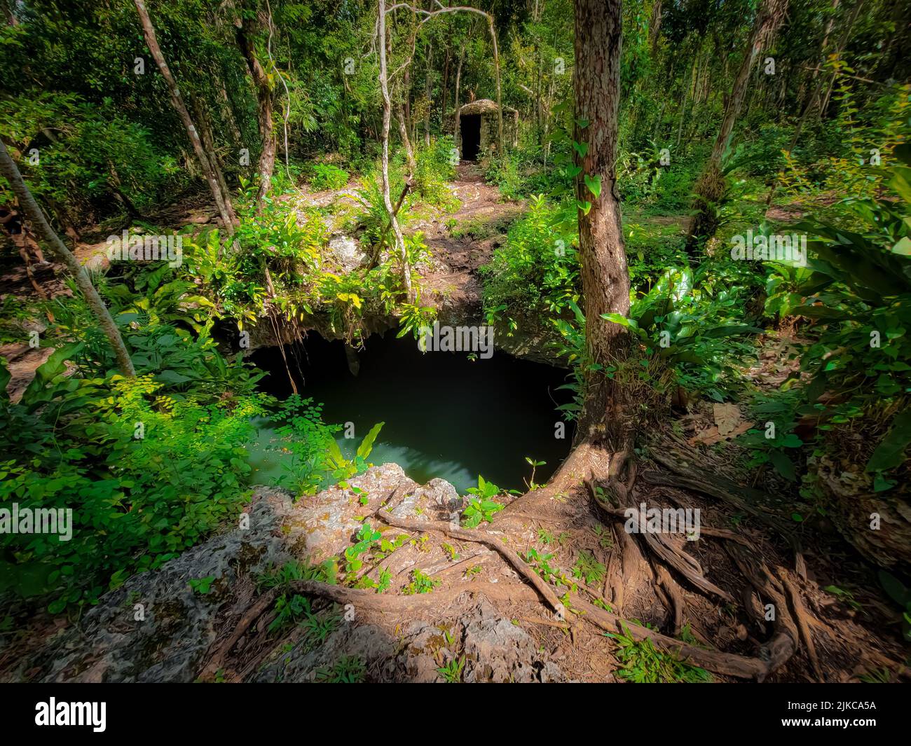 Jade cenote hi-res stock photography and images - Alamy