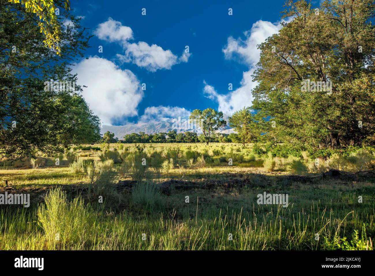 A landscape of a valley Stock Photo - Alamy