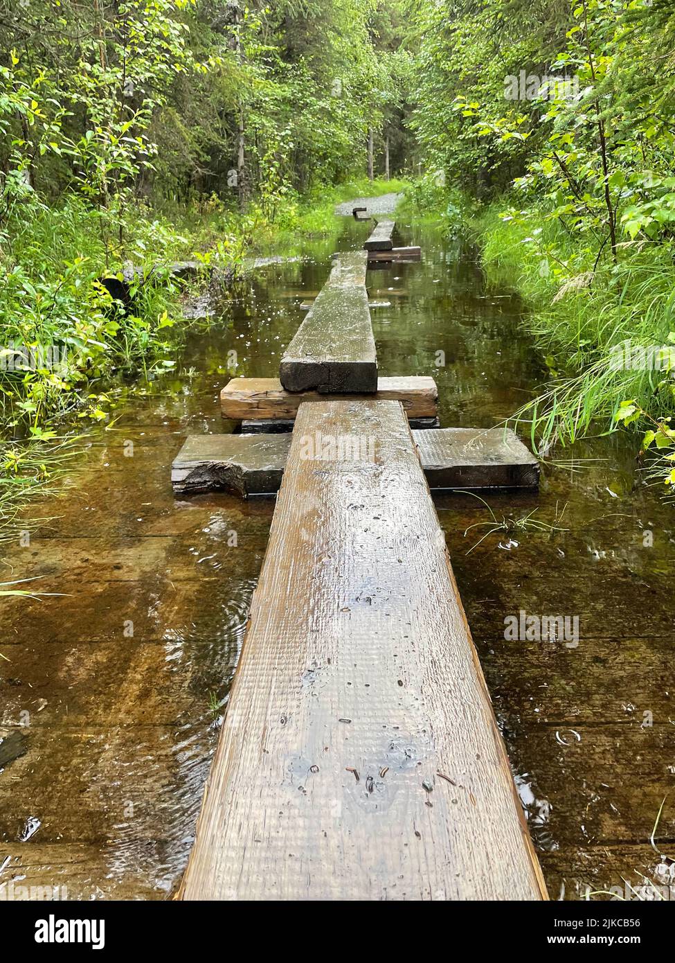 A vertical shot of a stone plank for waking on the water in the forest ...
