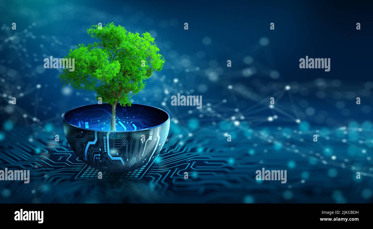 Tree growing on digital plant pot. Eco Technology and Technology ...