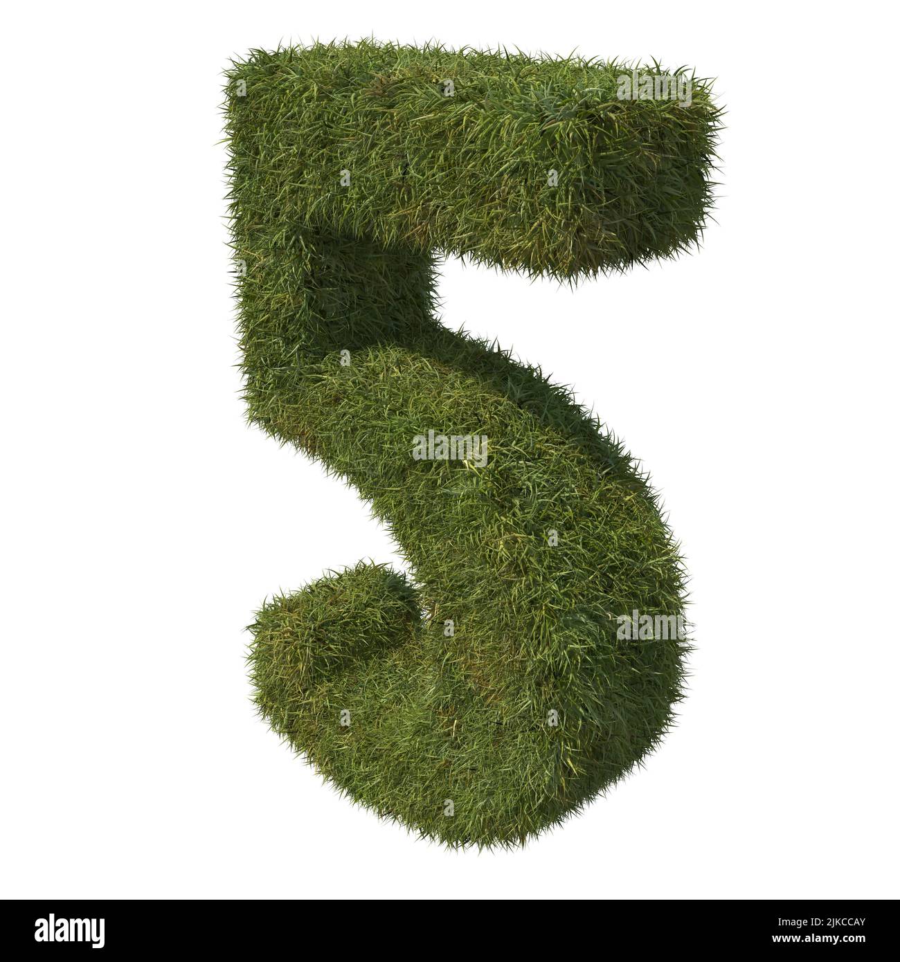 Three nine leaf grass hi-res stock photography and images - Alamy