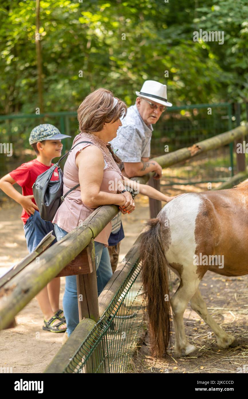 A family watching a pony behind a wooden fence in the zoo Stock Photo ...