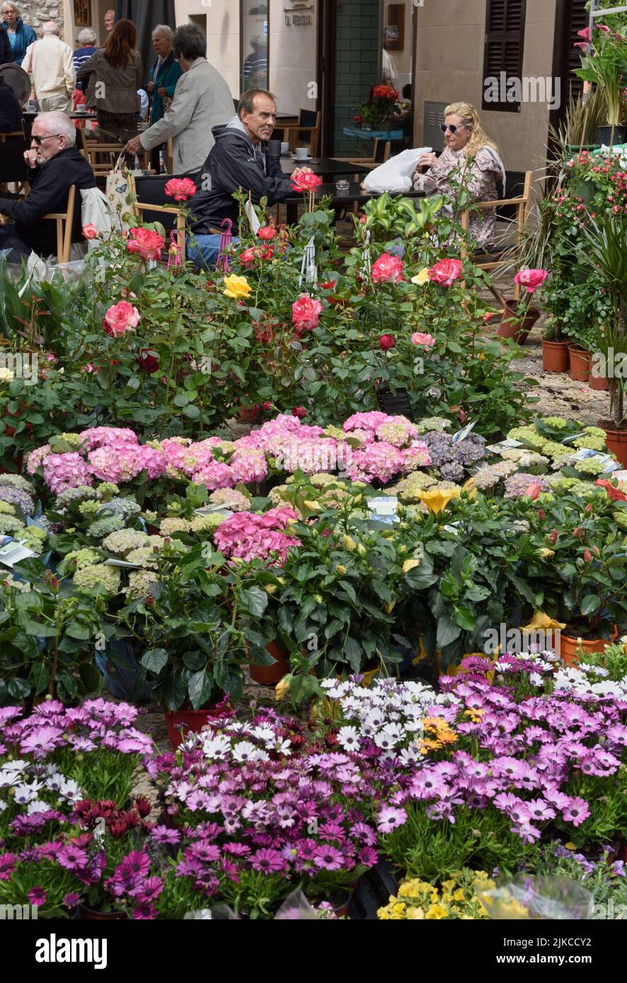 Pollensa Market Day Mallorca Spain Stock Photo - Alamy