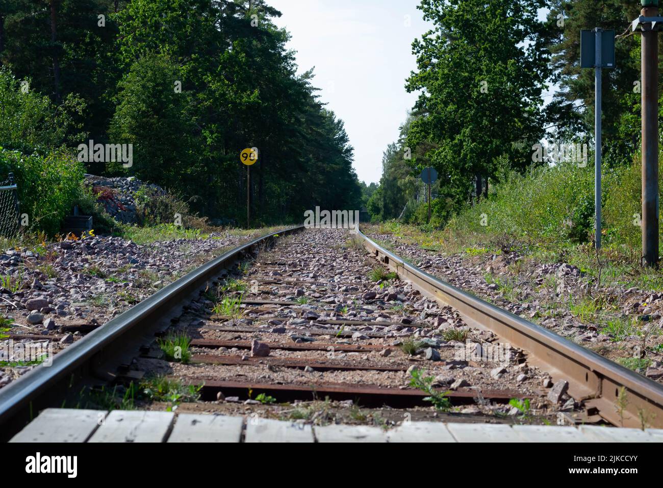 A railway track going through dense forest Stock Photo - Alamy